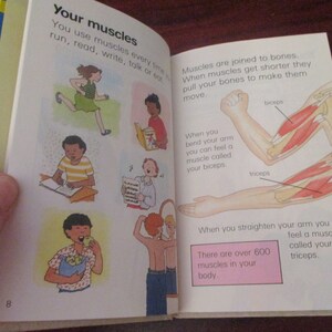 Ladybird Book Ladybird Learners Your Body 1980s - Etsy UK
