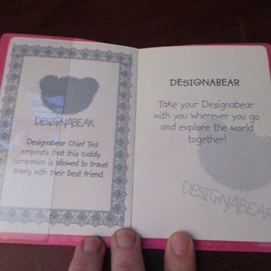 Design a Bear Passport Pink Covered Teddy Bear Passport - Etsy UK
