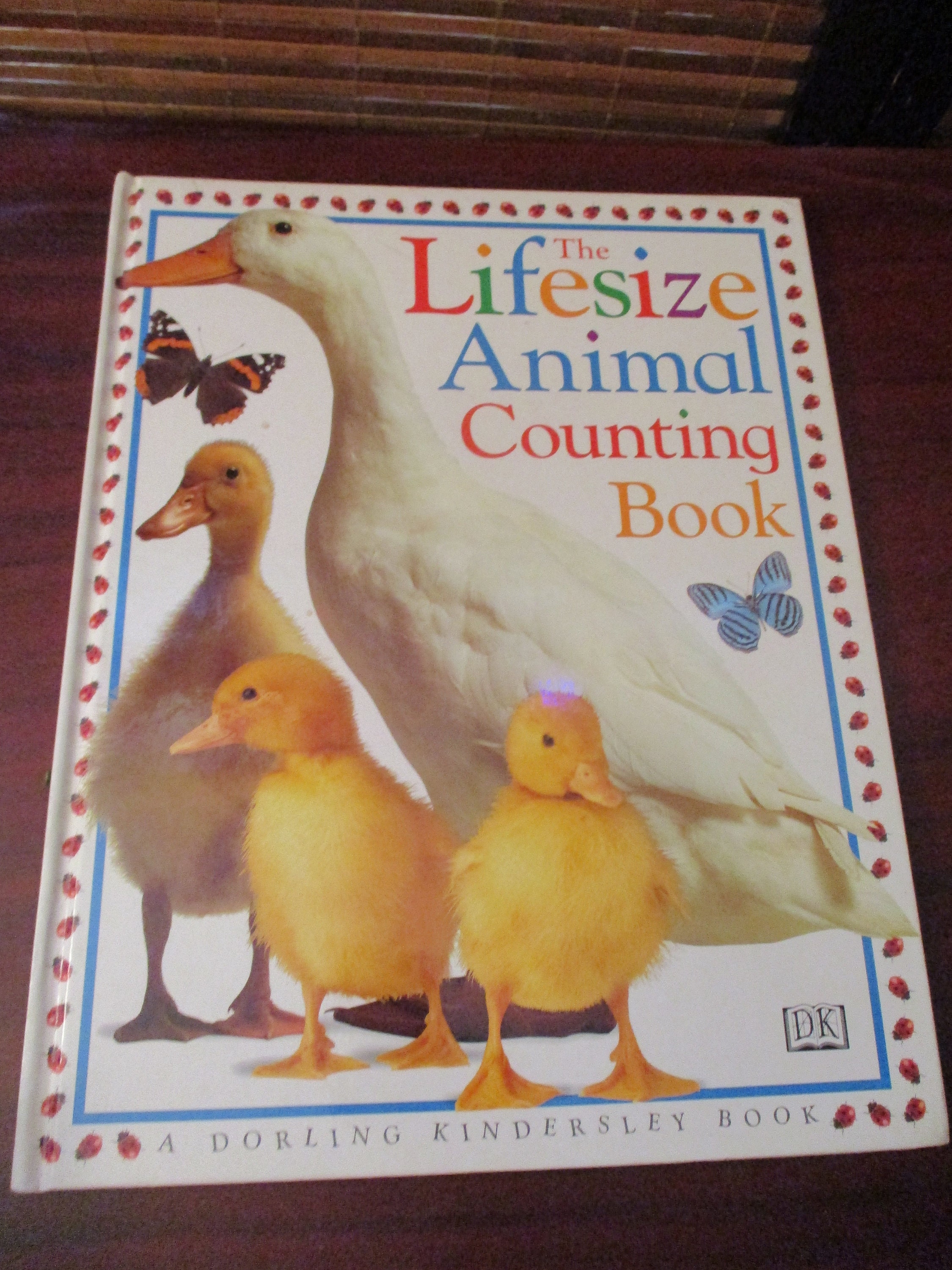 The Lifesize Animal Counting Book by Dorling Kindersley | Etsy