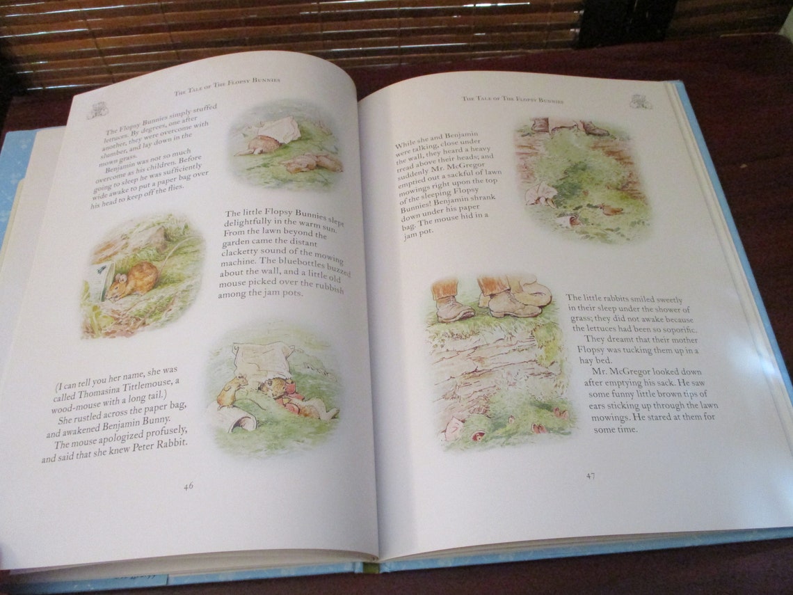 Beatrix Potter Book F.Warne & Co Beatrix Potter The | Etsy