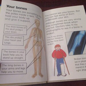 Ladybird Book Ladybird Learners Your Body 1980s - Etsy UK