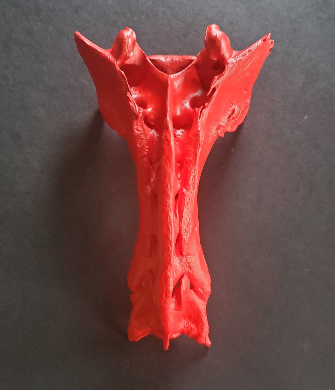 Deer Sacrum - Etsy