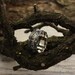 Rustic Style Tree Band, Unique Men's Silver Wedding Band, Men's Branch ...