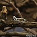 Unique Forest Tiara Silver Engagement Ring Small Branch Ring - Etsy