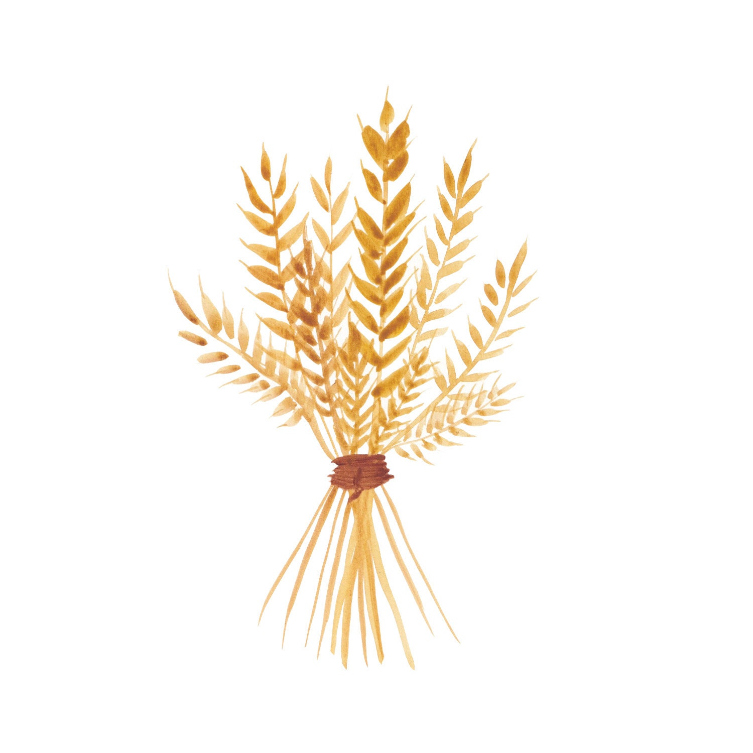 Original Watercolor Wheat - Etsy