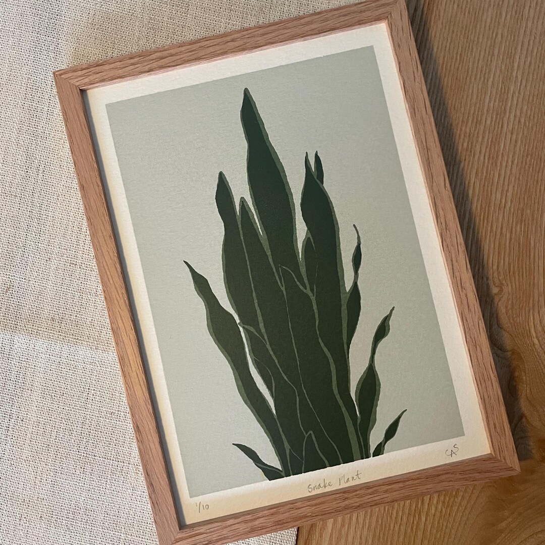 Snake Plant Houseplant Screen Print, Original Hand Finished, A5 ...