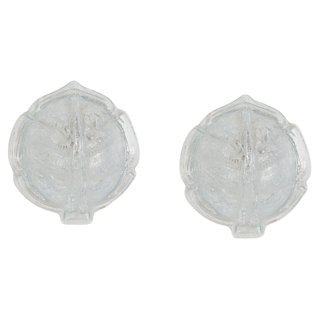 1 of 6 Ice Glass Shell Glass Wall Light Sconce by Limburg, Germany ...