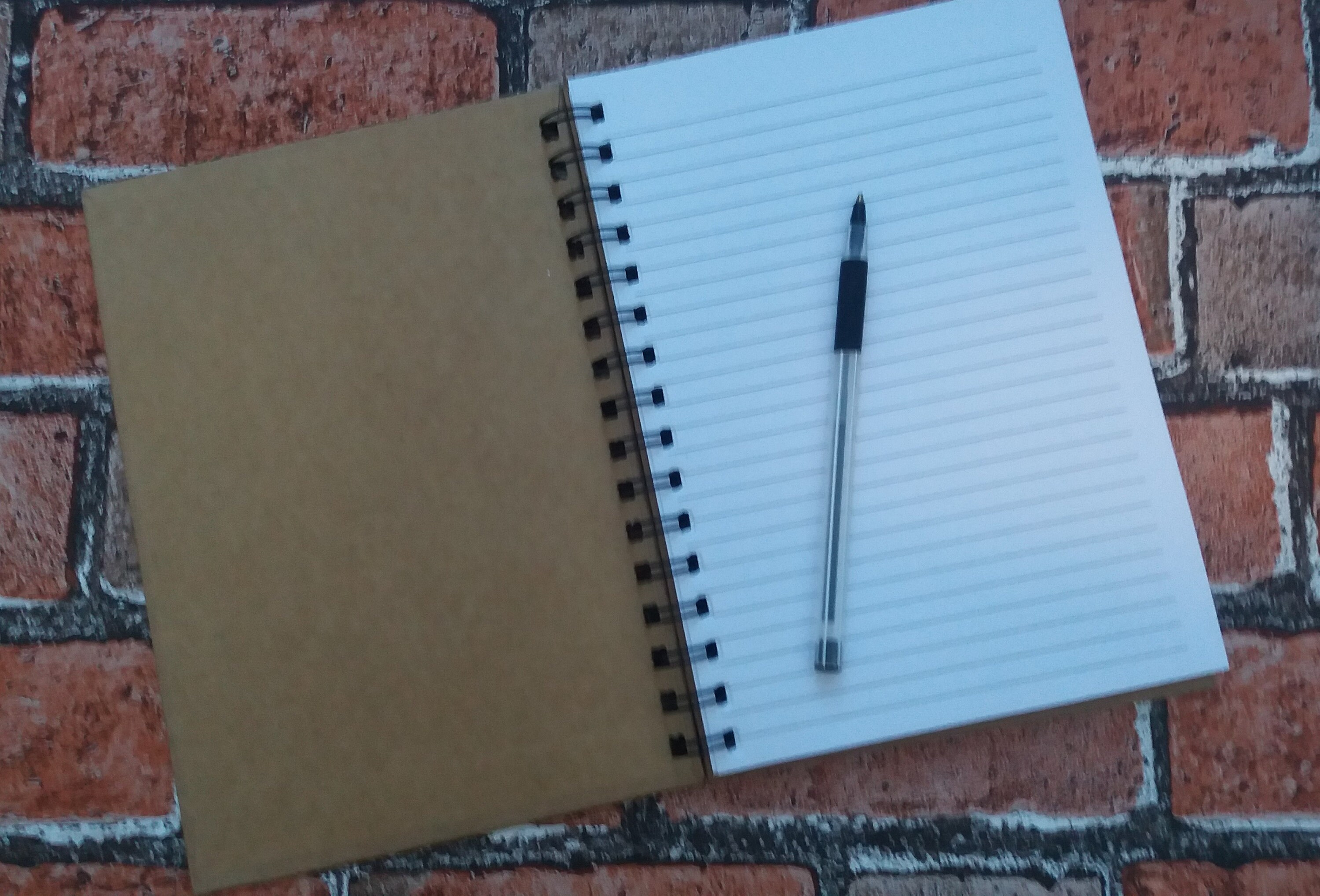 I Am Just Pretending to Be Organised Notebook - Etsy