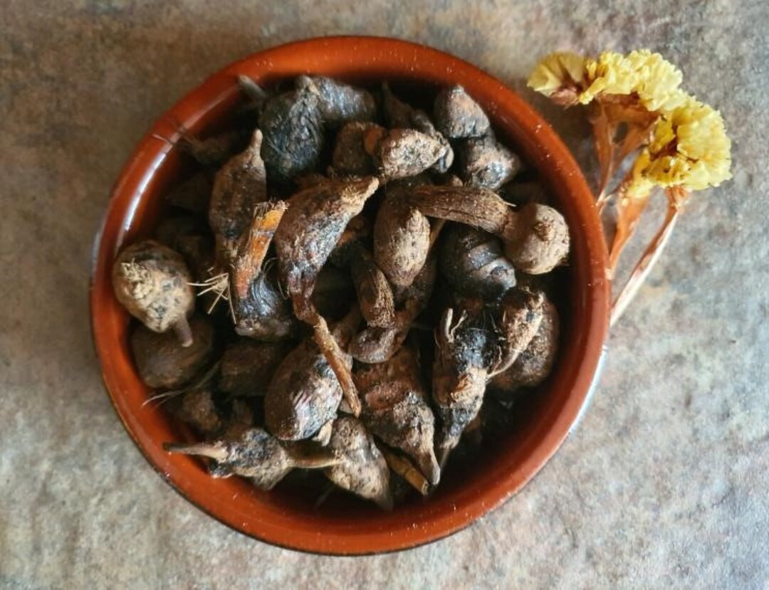 THIOURAYE GOWE SAFF Blend Churai Senegalese 25g 50g - Etsy