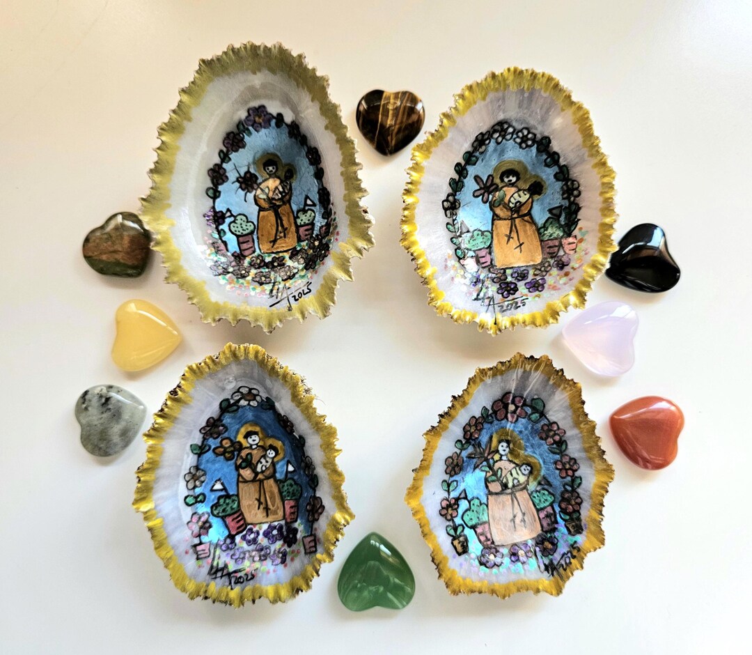Saint Anthony Madeira Island Limpet, Limpet Shell, Portuguese Limpet ...