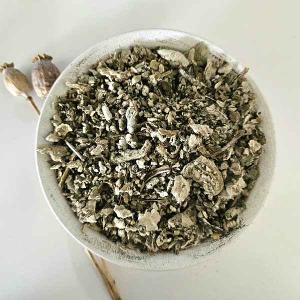 Mullein Plant - Etsy