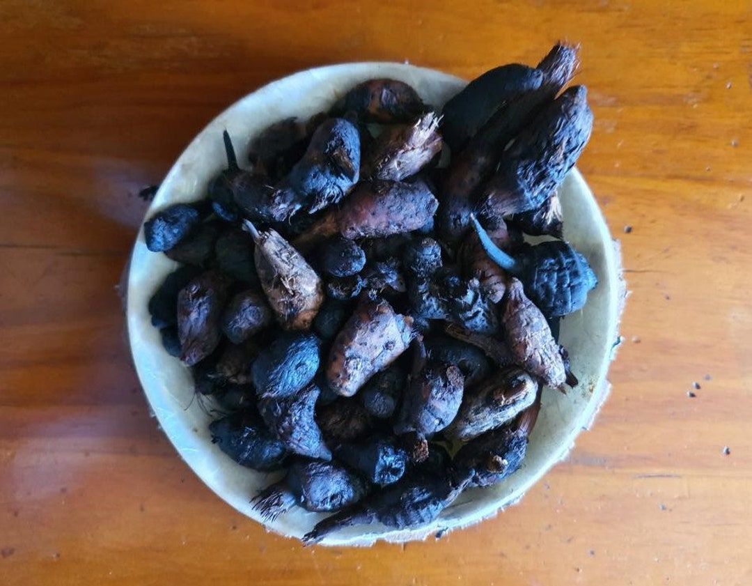 THIOURAYE GOWE Blend Churai Senegalese 25g 50g - Etsy