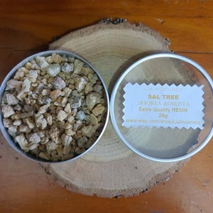 SAL TREE Resin, 25g 0.88oz, Shorea Robusta, Sal Tree Incense, Small ...