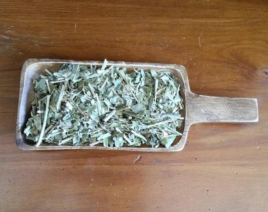 Periwinkle Dried Plant, Envy Plant, Vinca Difformis, Congossa, Pervinca ...