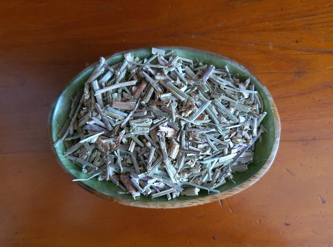 CHICORY Dried Plant 50g Cichorium Intybus Achicoria Chicorée Cichorii ...