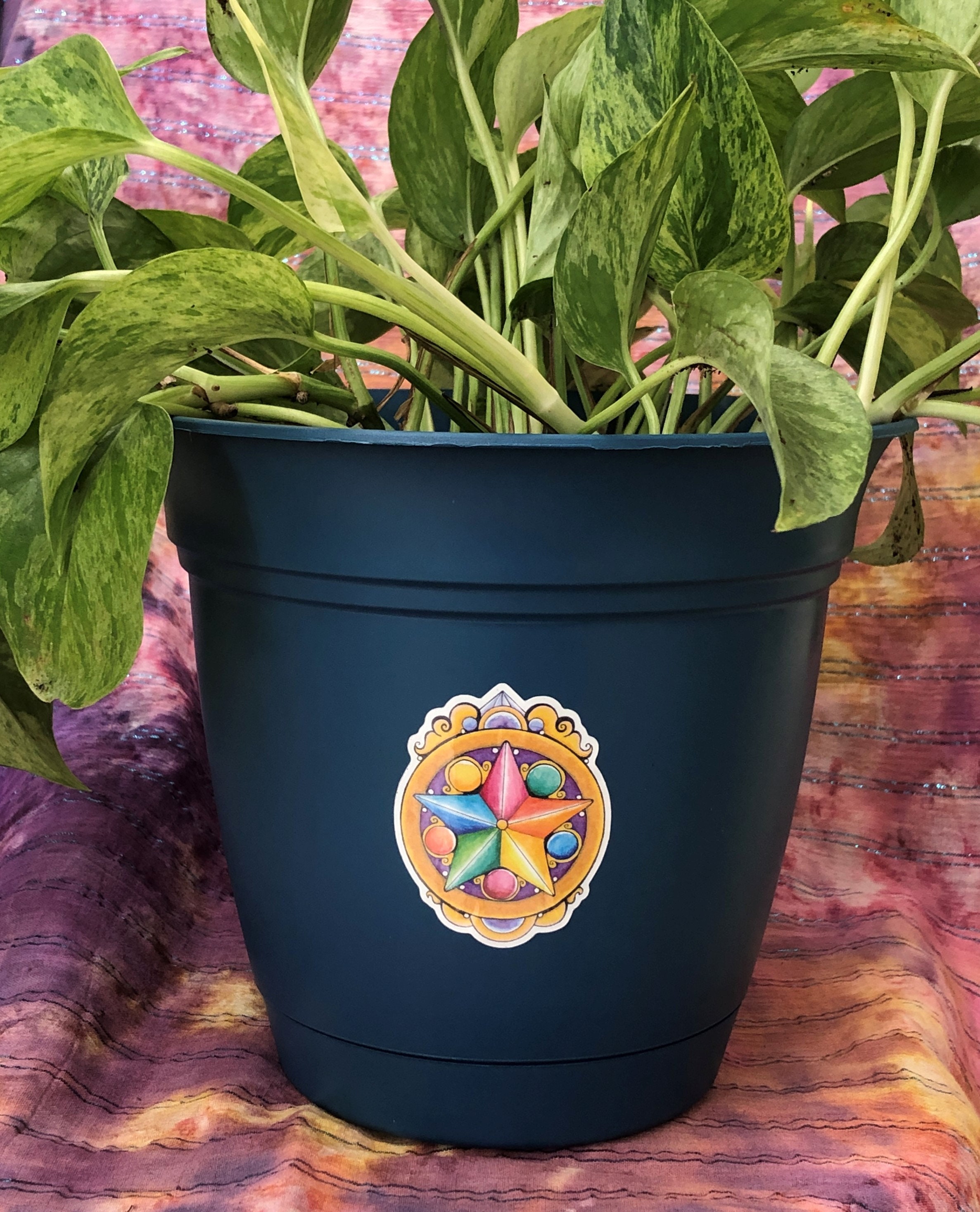 Rainbow Compass Vinyl Sticker - Etsy