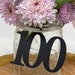 100th Birthday Decorations, 100th Cutout, Glitter 100th Birthday ...