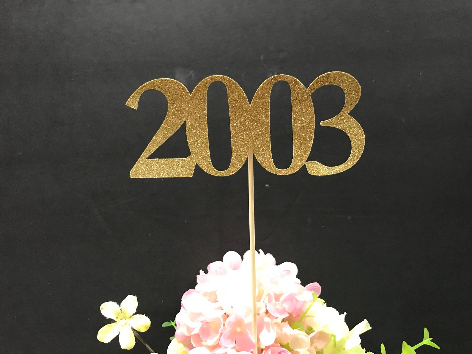 2003 Reunion Party Decorations class of 2003 15th Class | Etsy