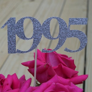 Class of 1995 Centerpiece Decoration, 25th Class Reunion Centerpiece ...