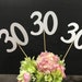 30 Centerpiece Picks, Glitter Thirty on a Stick, 30th Birthday ...