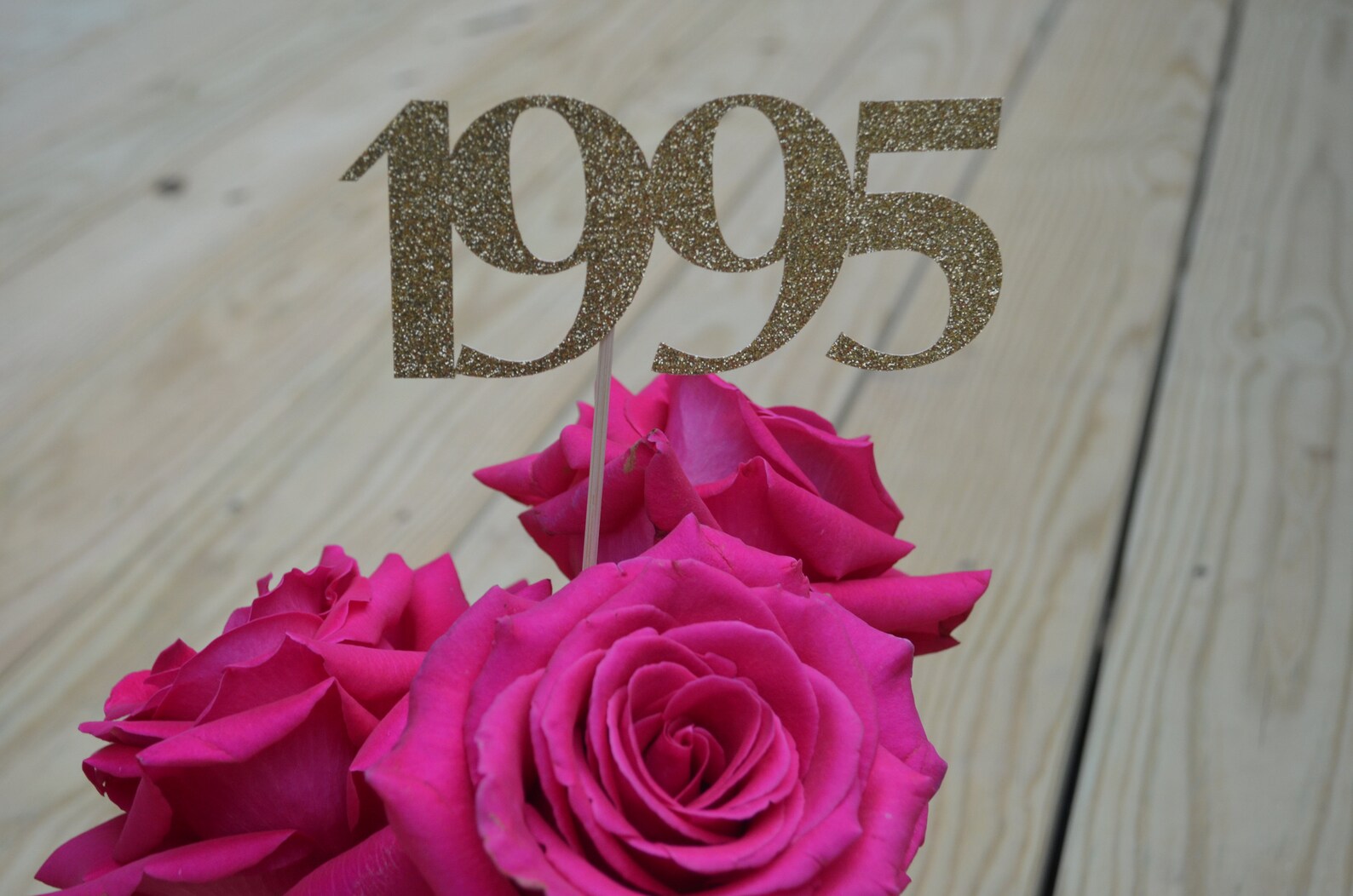 Class of 1995 Centerpiece Decoration 25th Class Reunion - Etsy