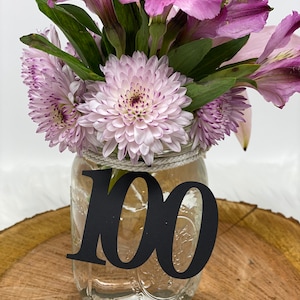 100th Birthday Decorations, 100th Cutout, Glitter 100th Birthday ...