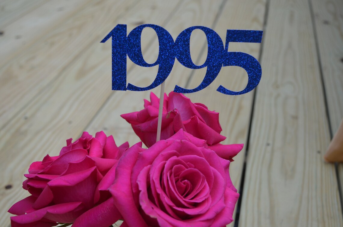 Class of 1995 Centerpiece Decoration, 25th Class Reunion Centerpiece ...