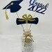 Graduation Decorations 2024, Graduation Centerpiece Sticks, Class of ...