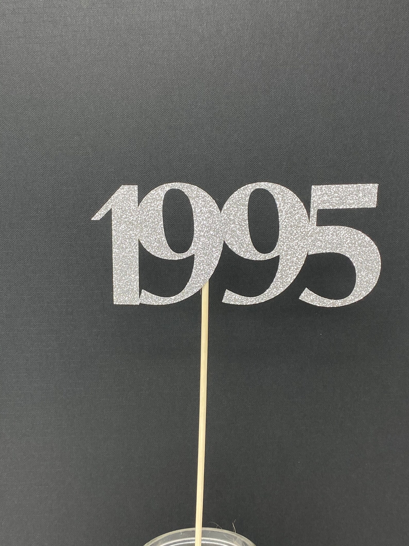 Class of 1995 Centerpiece Decoration 25th Class Reunion - Etsy