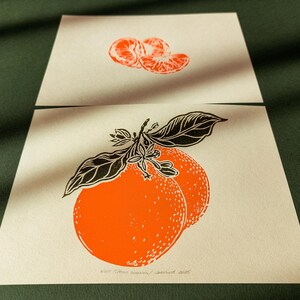 Vintage Clementine Slice Fruits Linocut Print Mini Gallery Wall Set of ...