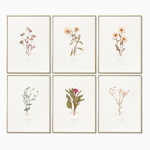 Pressed Plant Art - Etsy