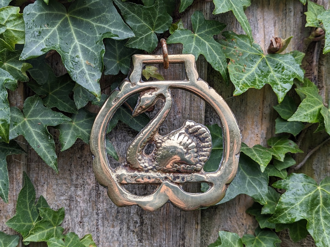 Swan Brass Amulet Wiccan Altar Piece for Aphrodite Worship, Zeus, Leda ...