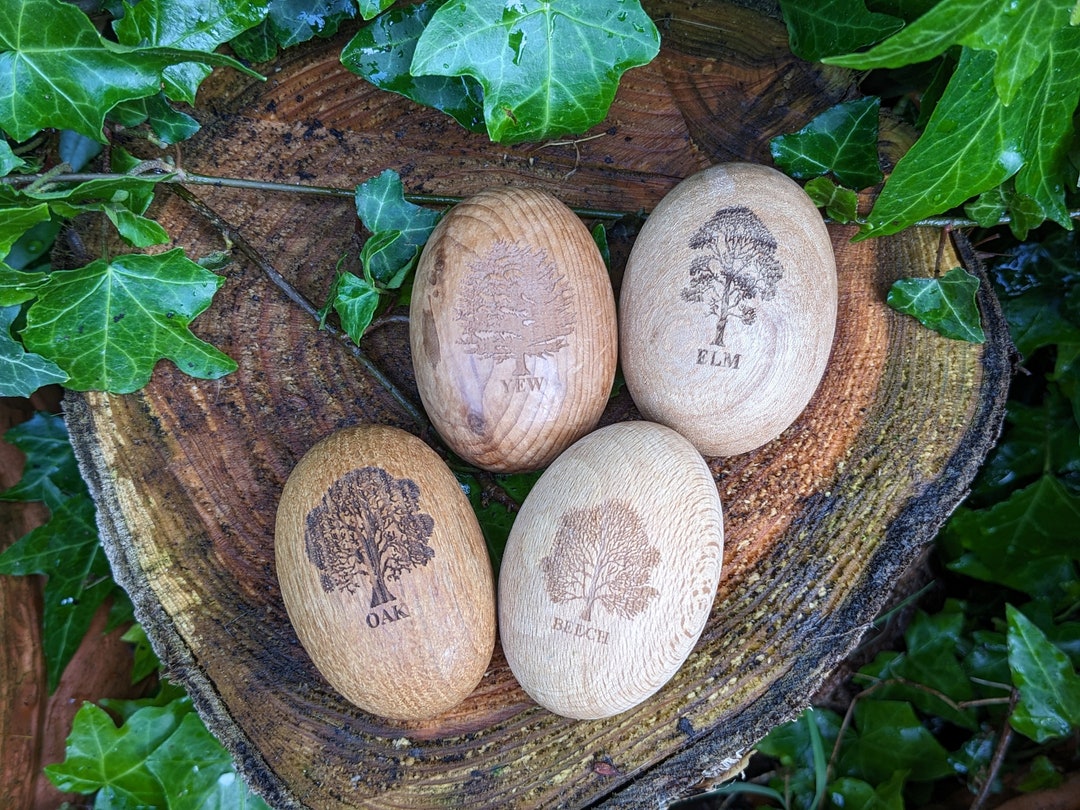 Wooden Eggs With Tree Engraving, Oak, Yew, Elm and Beech - Etsy