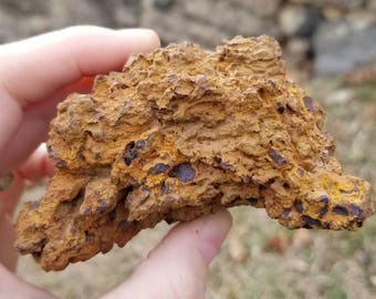 Petrified poop | Etsy