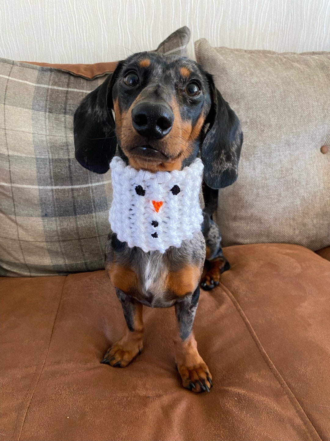 Snowman Hand Knit Chunky Christmas Snood for Dachshunds, Dogs and ...