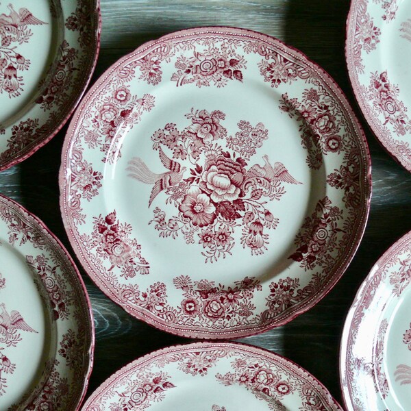 Asiatic Pheasants - Etsy
