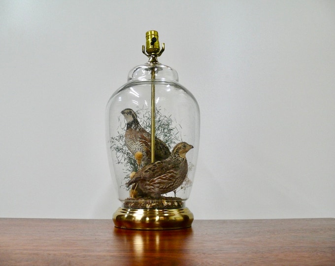 The Wildlife Collection Taxidermy Bob White Quail Pair Showcase Lamp, Vintage Bird Mount Made in ...