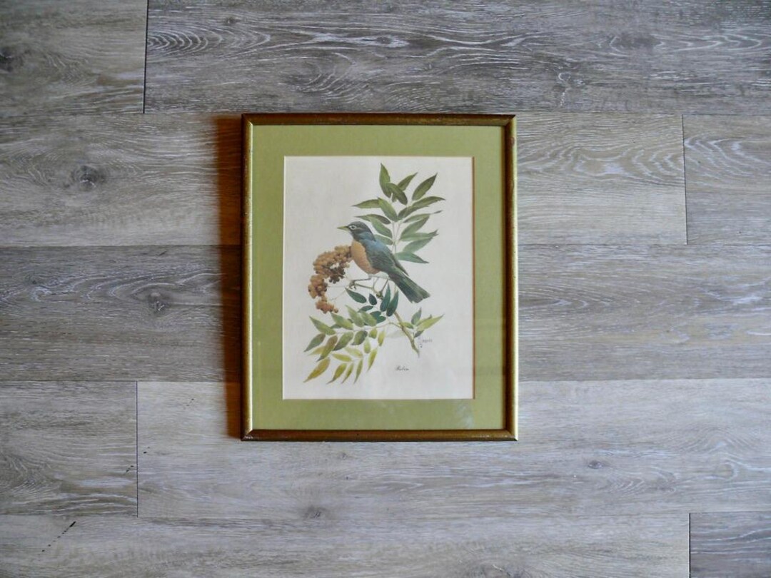 Francis Lee Jaques Robin Lithograph in Wood Frame, Vintage American ...