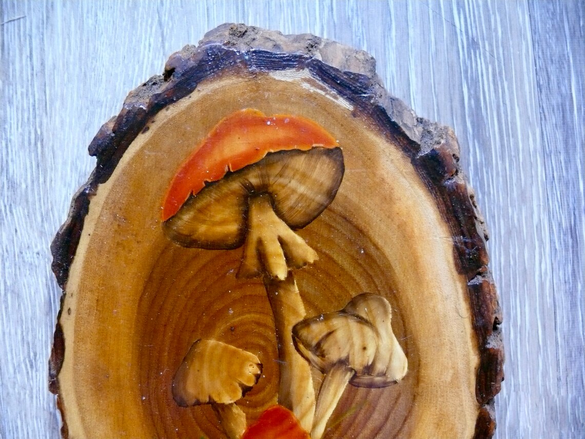 Rustic Mushroom Oil Painting on Natural Wood Slice With Bark - Etsy