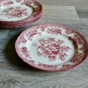 6 Old Gustavsberg Fasan Red Salad Plates, 9 Red Asiatic Pheasant ...