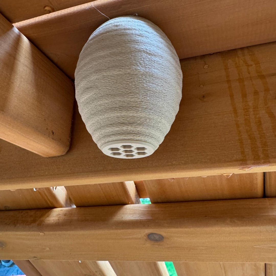 Fake Wasp Nest Decoy – 3 Colors | Natural Wasp Deterrent With Screw-on ...