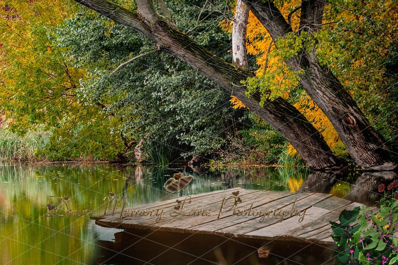 Digital Background, Rustic Wooden Dock, Autumn Foliage, Lake Background ...