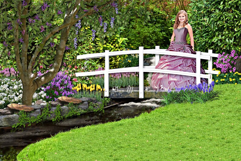 Digital Background Prom Background Engagement Wedding - Etsy