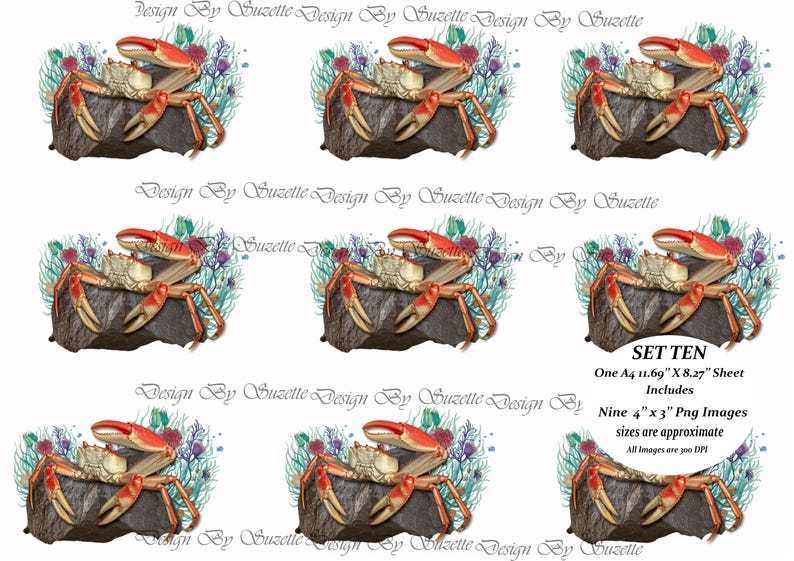 Sea Life Decoupage Paper: Whale, Seal, Coral Reef - A4 Rice Paper - Etsy
