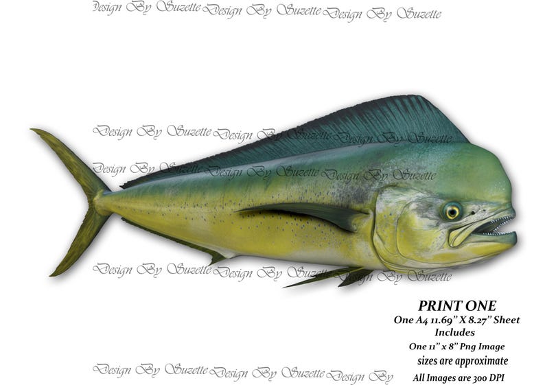 Rice Paper for Decoupage/a4/ Nautical, Salt Water Fish, Mahi-mahi ...