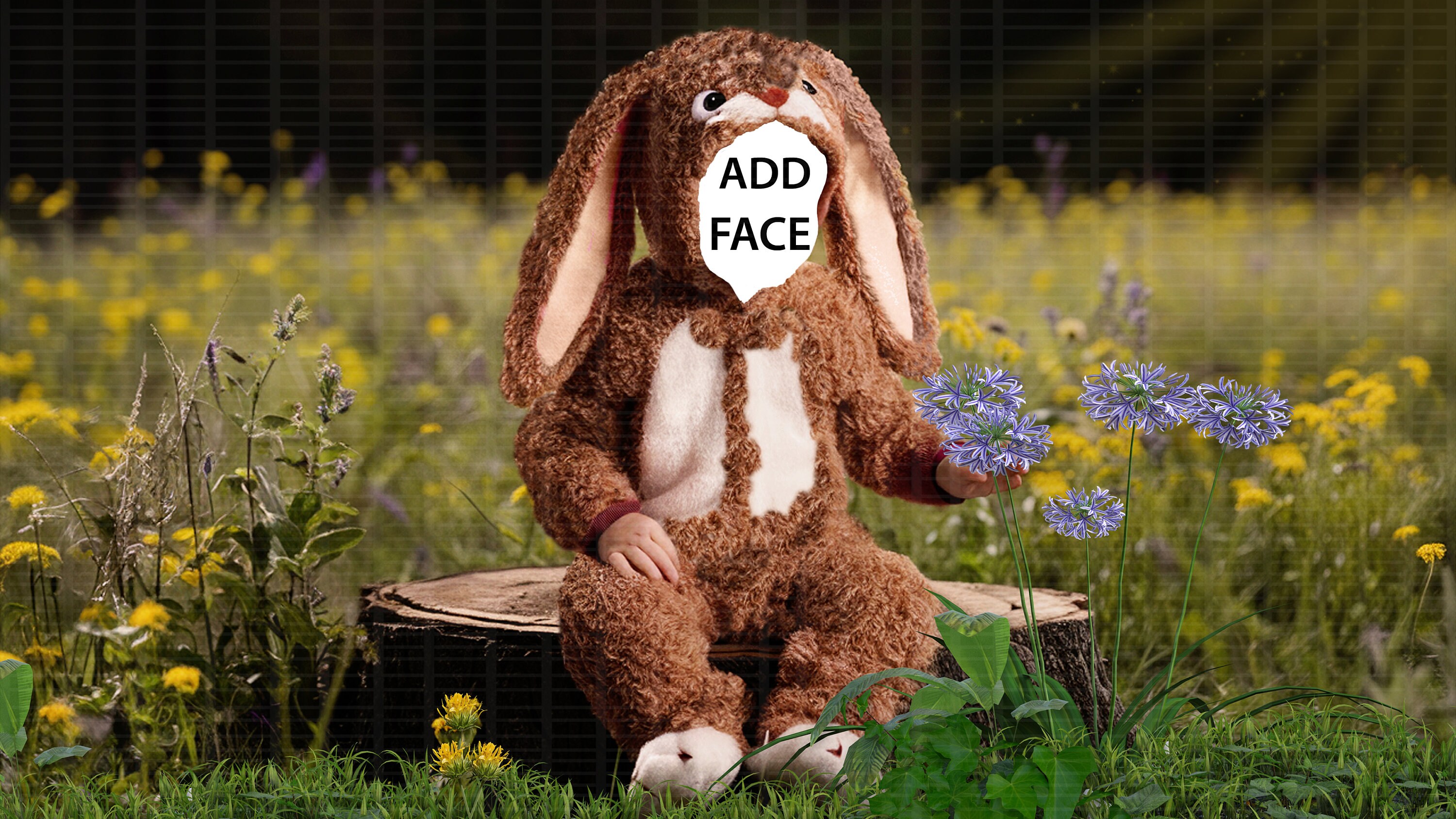 Animal Face Insert Digital Backgrounds, Roaring Lions, Crouching Tigers ...