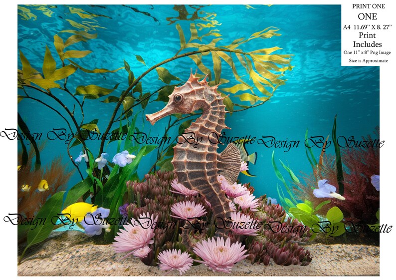 Seahorses. Underwater Scene, Decoupage A4 Rice Paper, Crafting, Shells ...