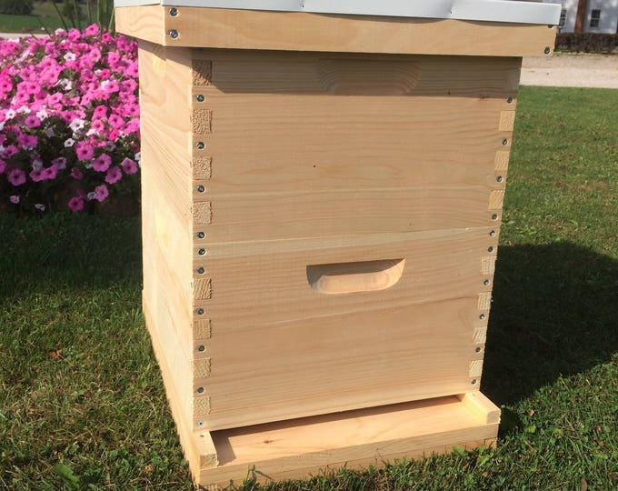 Hive Bodies Only - Top-Quality Bee Hives