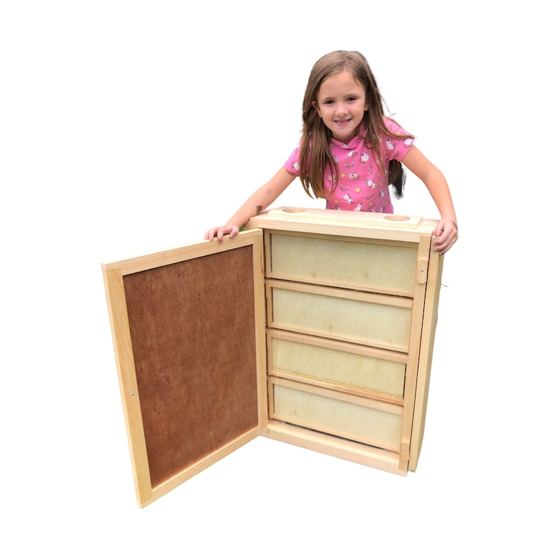 Bee Hive Window Glass - Etsy