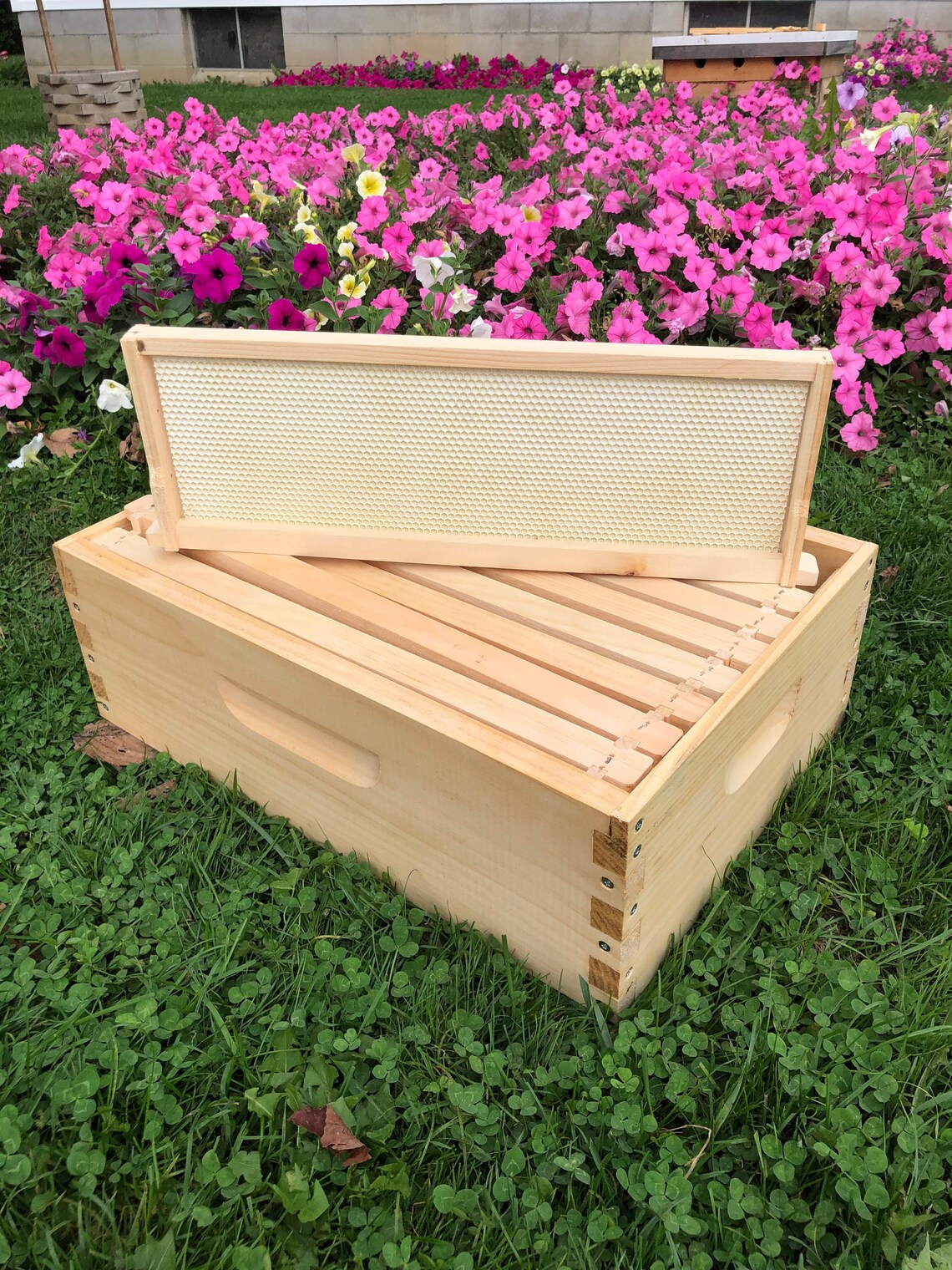 2 Medium 6 5/8 Complete Bee Hive Kit W/frames & Foundations - Etsy